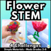 Valentine's Day - STEM Challenges